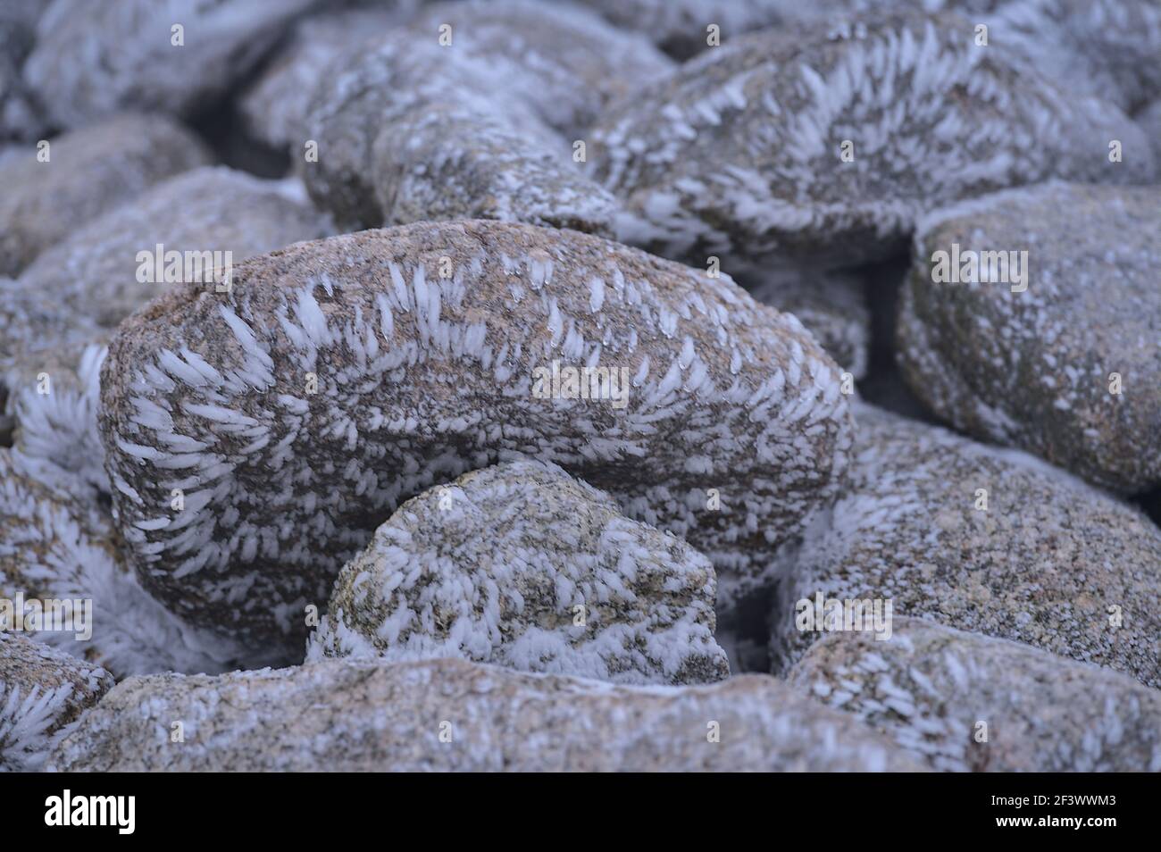 Beautiful close up view of icy structure on stones as a result of ...