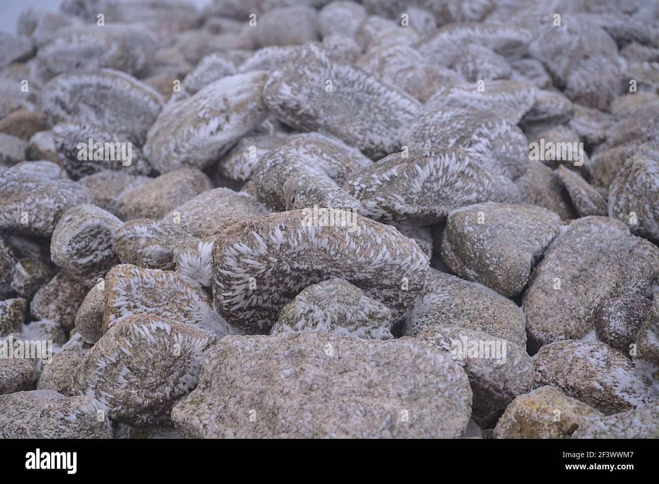 Beautiful close up view of icy structure on stones as a result of ...