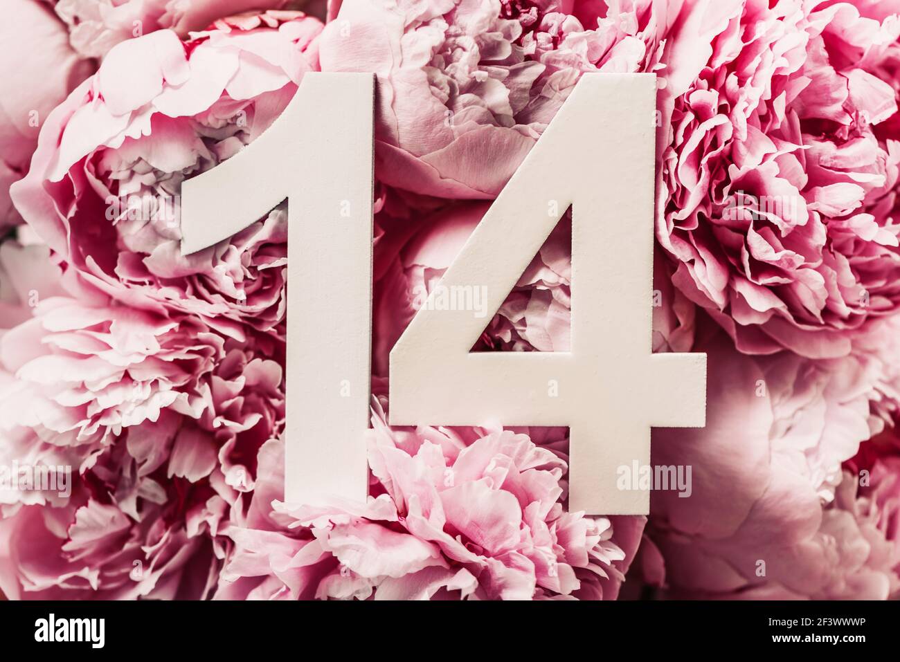 Creative layout. Peony flowers, digit fourteen. Birthday greeting card ...