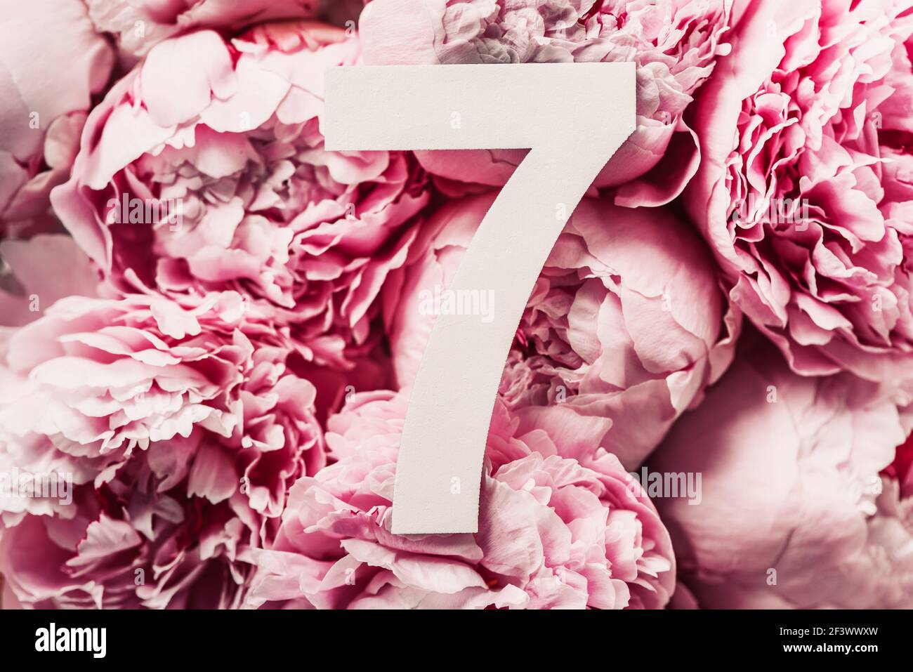 Creative layout. Pink peony flowers and digit seven 7. Birthday ...