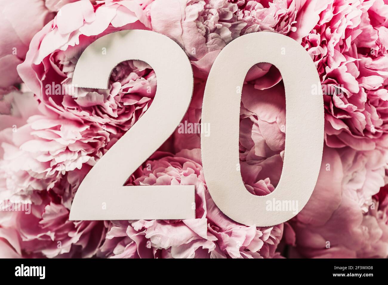 Peony flowers, digit twenty. Birthday greeting card with inscription 20 ...