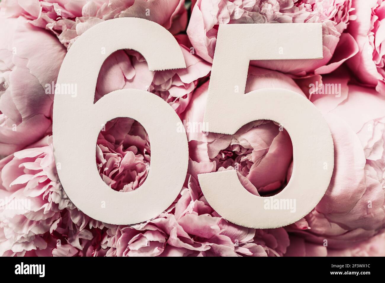 Peony flowers, digit sixty-five. Birthday greeting card with ...