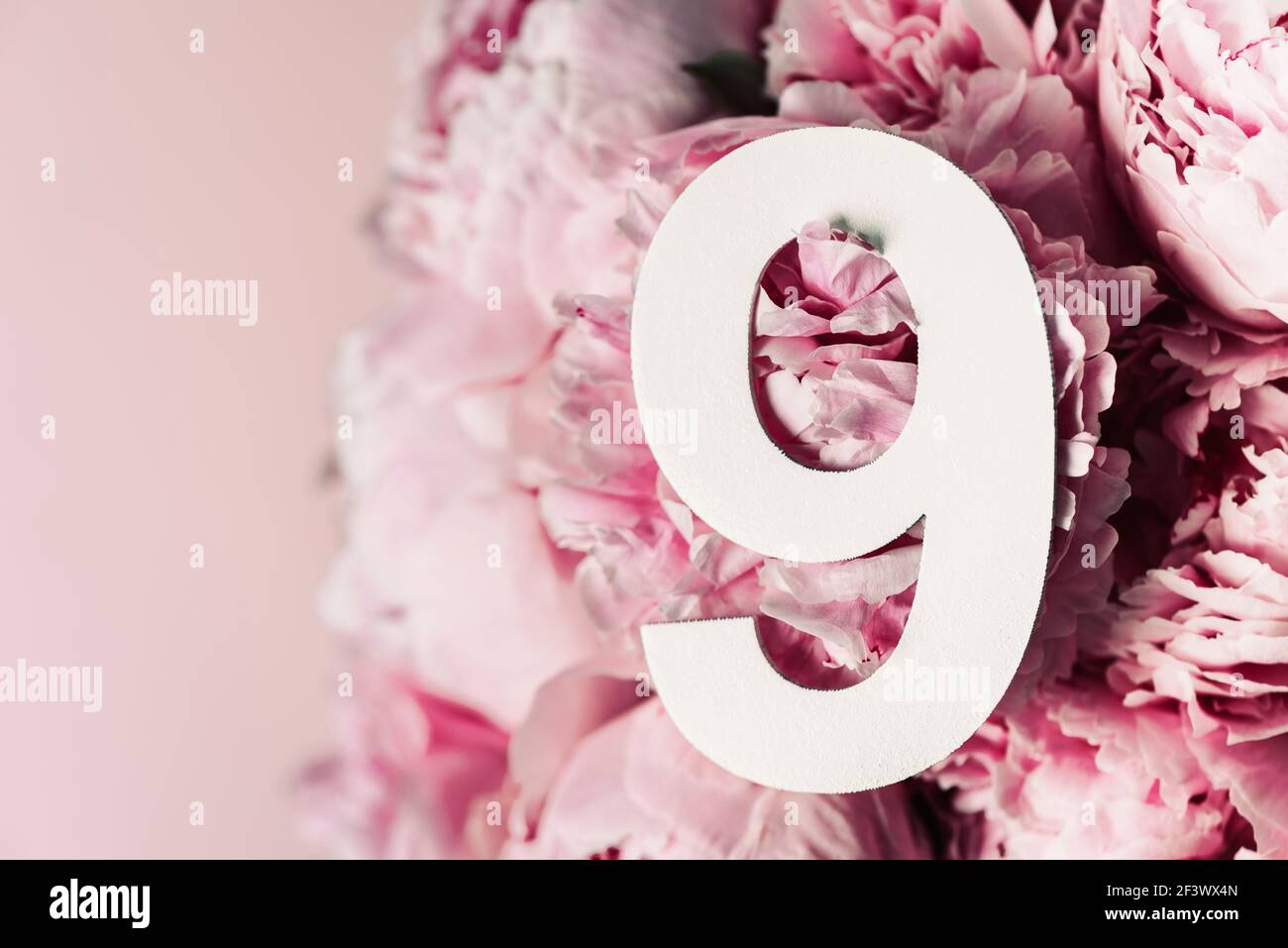 Creative layout. Pink peony flowers and digit nine 9. Birthday greeting ...