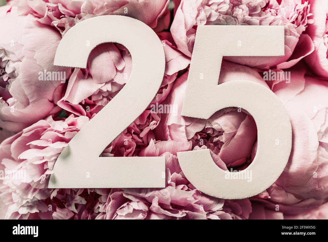 Peony flowers, digit twenty-five. Birthday greeting card with ...