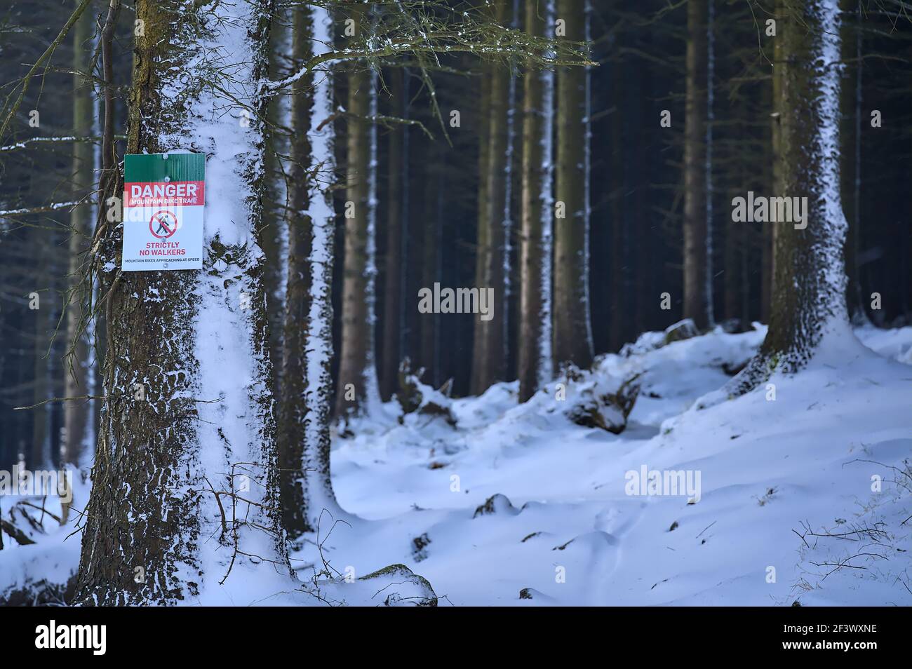 Beautiful view of forest danger sign mountain bike trail strictly no ...