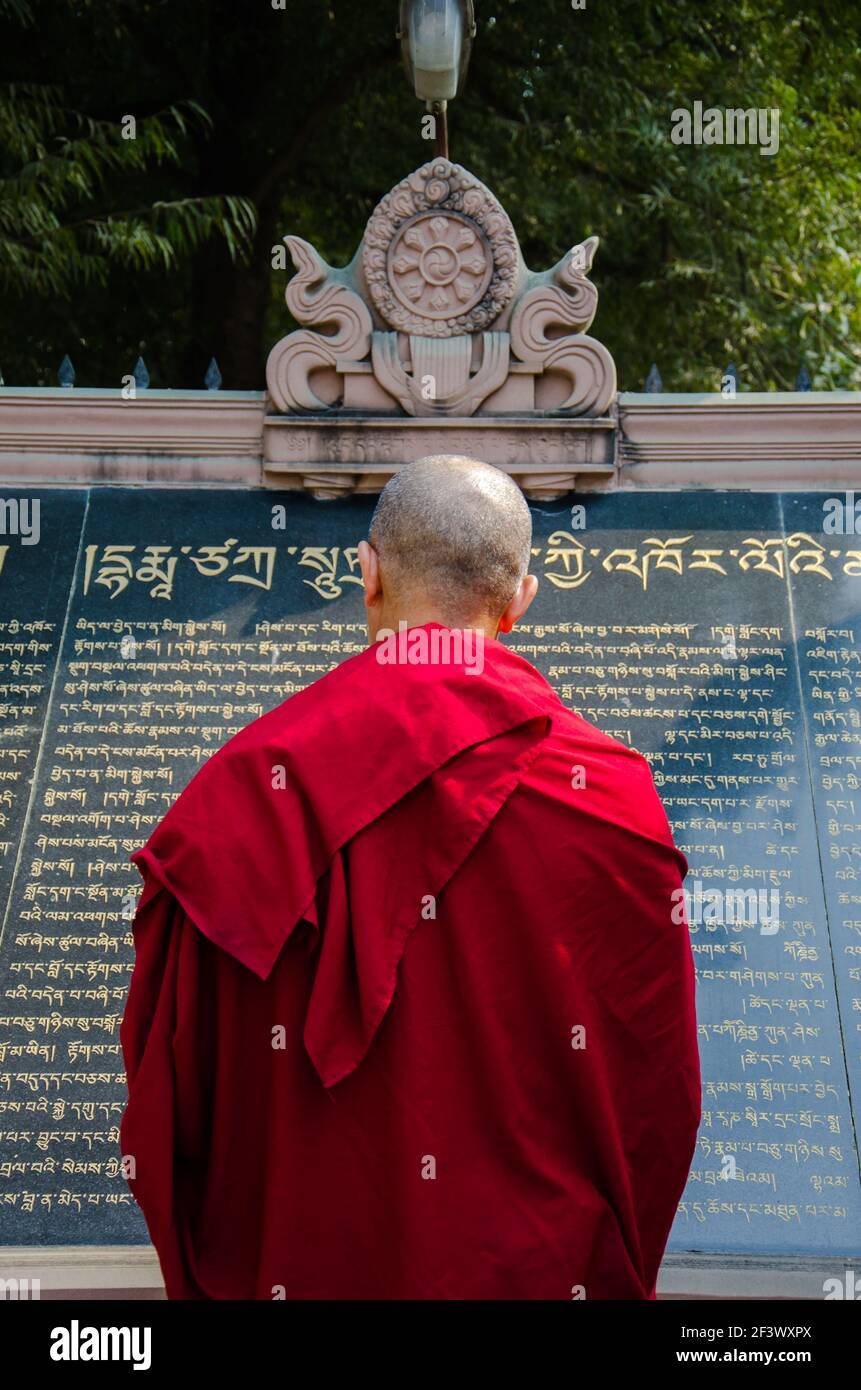 Monk reading manuscript hi-res stock photography and images - Alamy