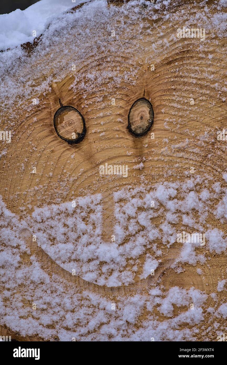 Happy face smile drawn on winter log trunk with snow, the logging ...
