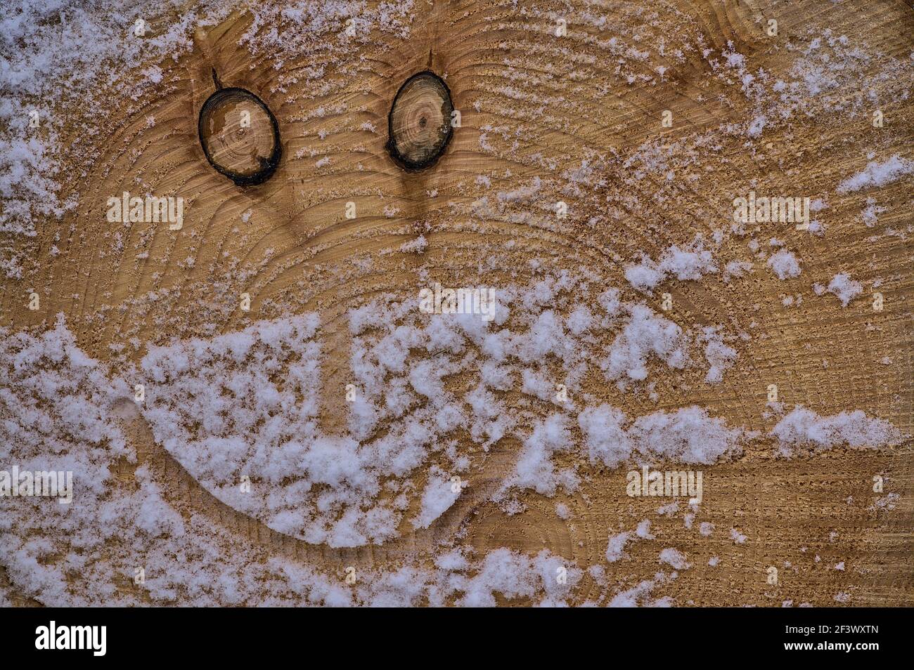 Happy face smile drawn on winter log trunk with snow, the logging ...