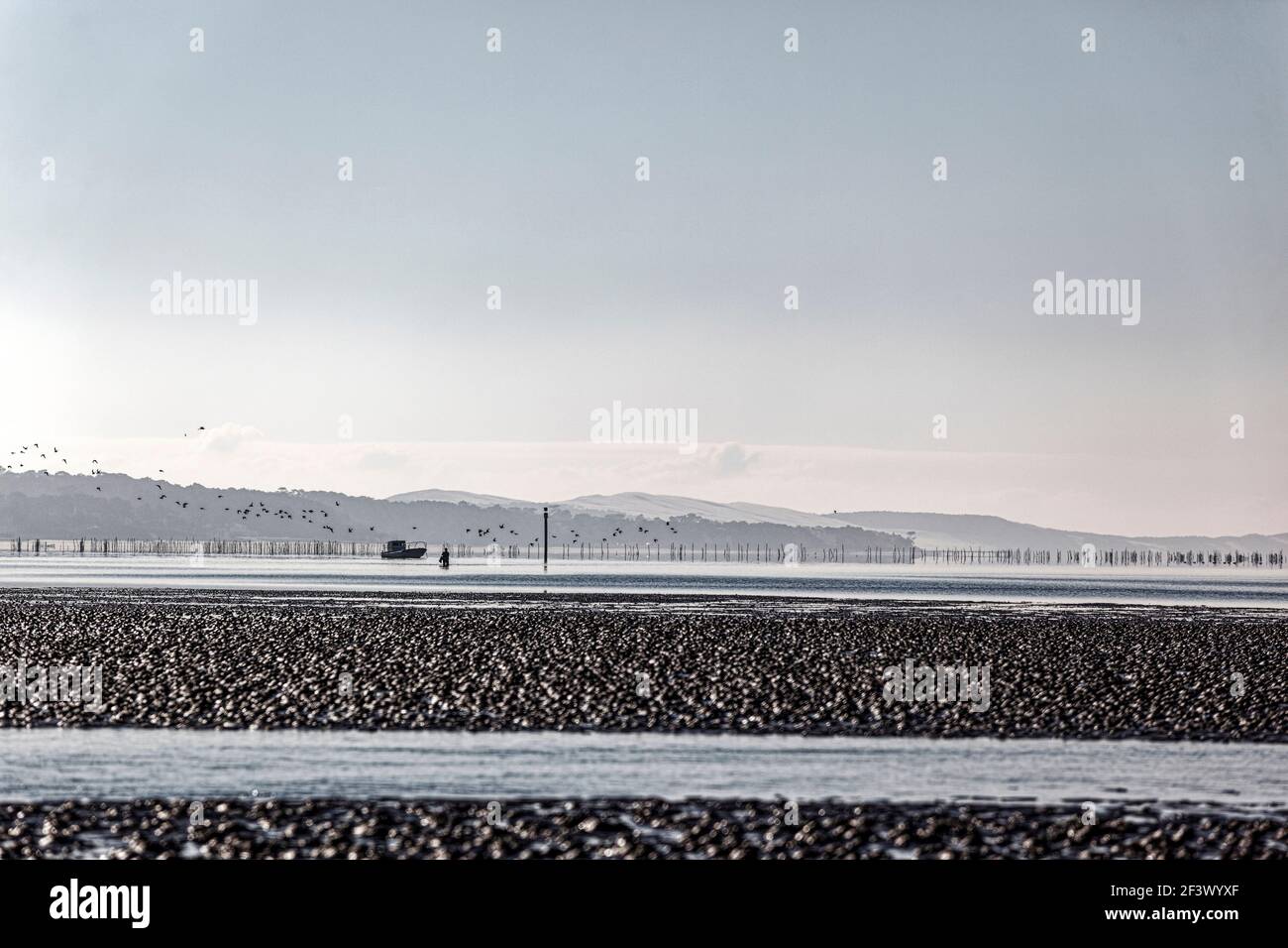 Overview of the Dune of Pyla Stock Photo - Alamy