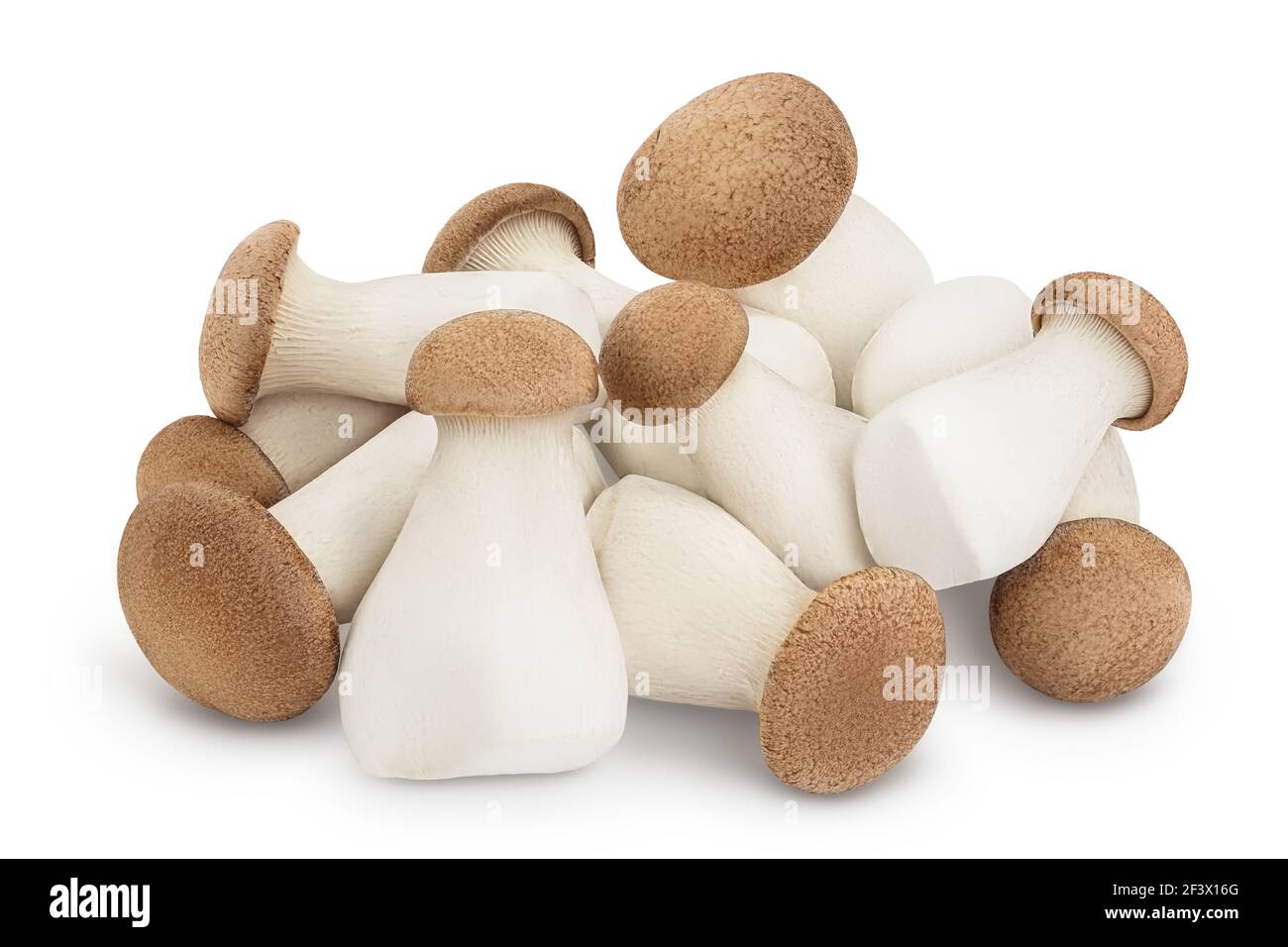 King Oyster mushroom or Eringi isolated on white background with ...