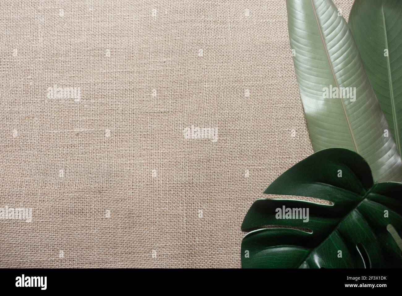 Green tropical leaves on a natural hessian background including ...
