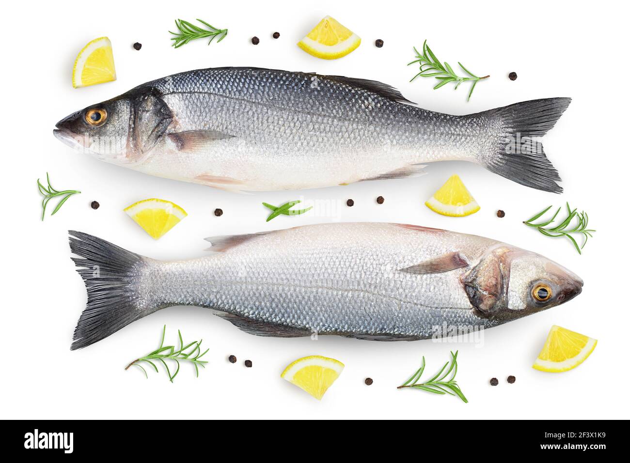 Sea bass fich isolated on white background with clipping path. Top view ...