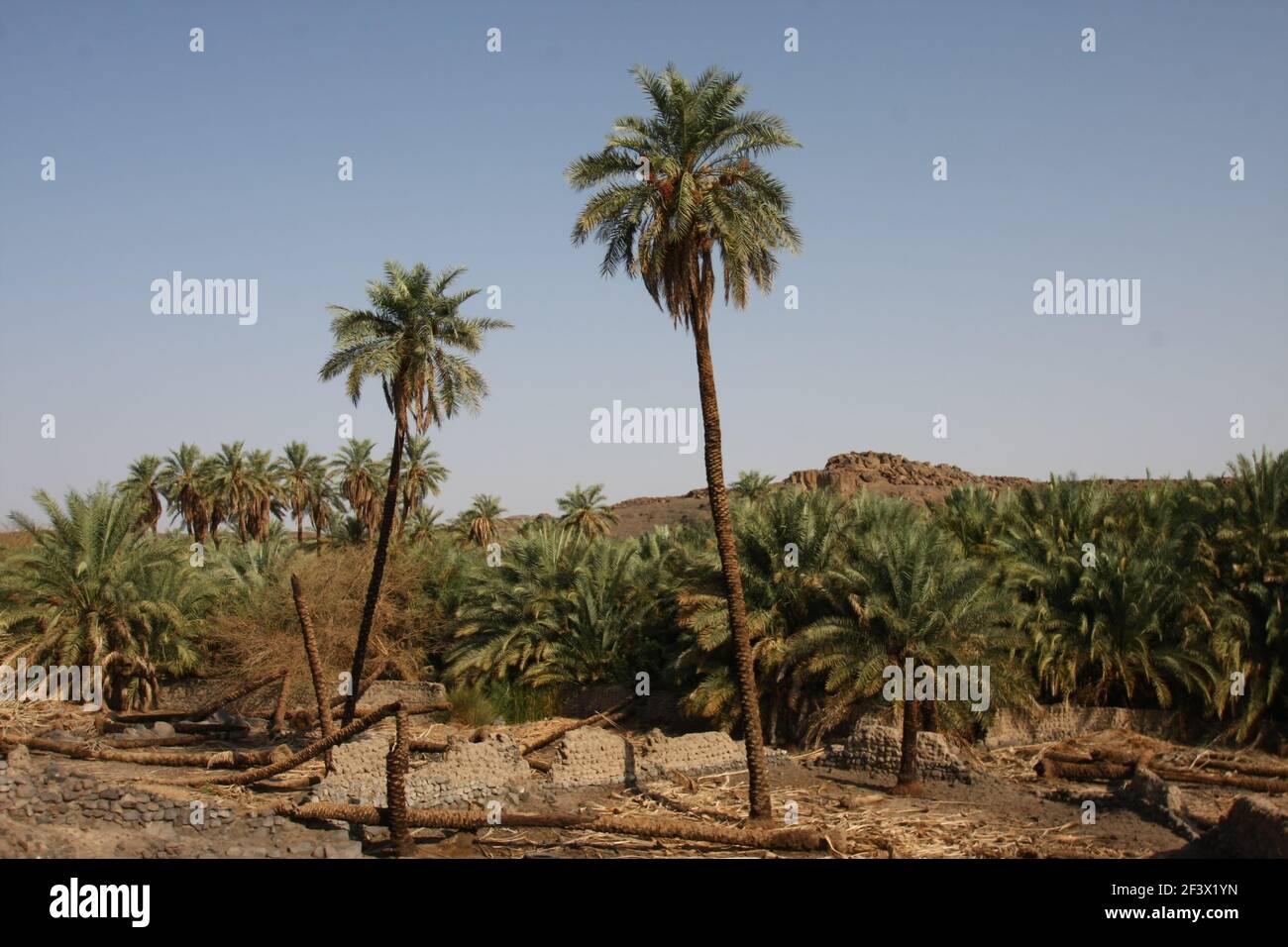 Khaybar to the north of Medina in the Hejaz. Before the advent of Islam ...