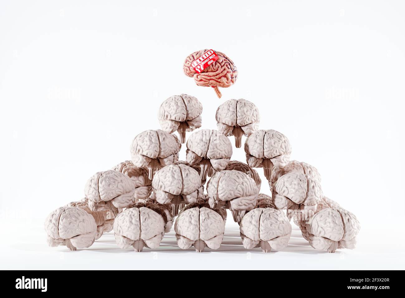 Fragile handle with care label on a human brain, Mind or Mental Health ...