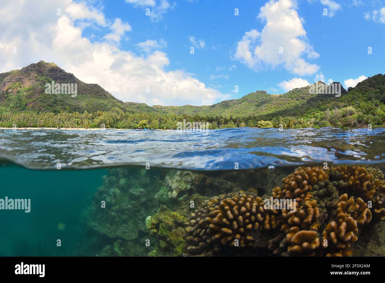 Half underwater view hi-res stock photography and images - Alamy
