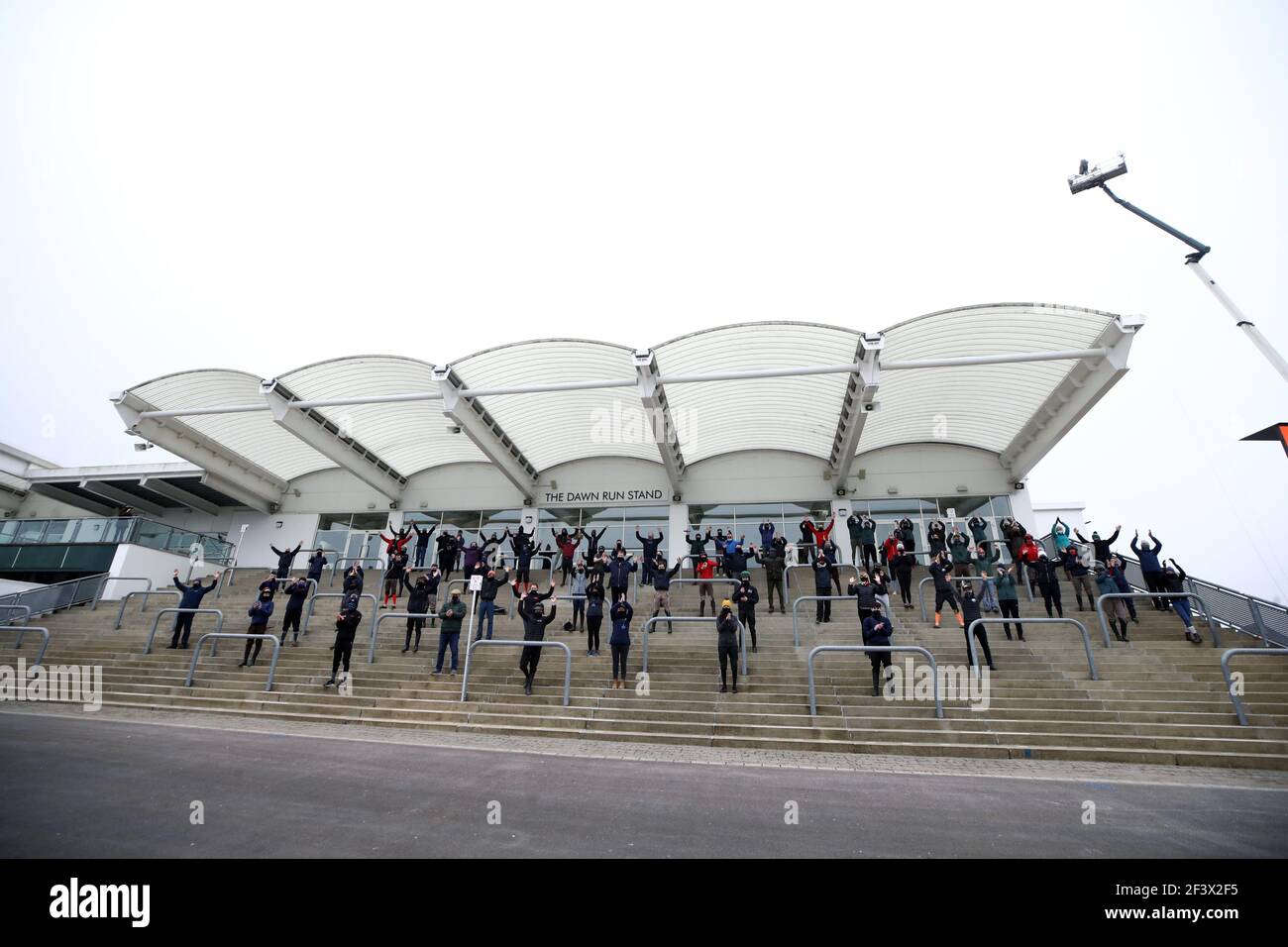 Best Mate Horse High Resolution Stock Photography and Images - Alamy