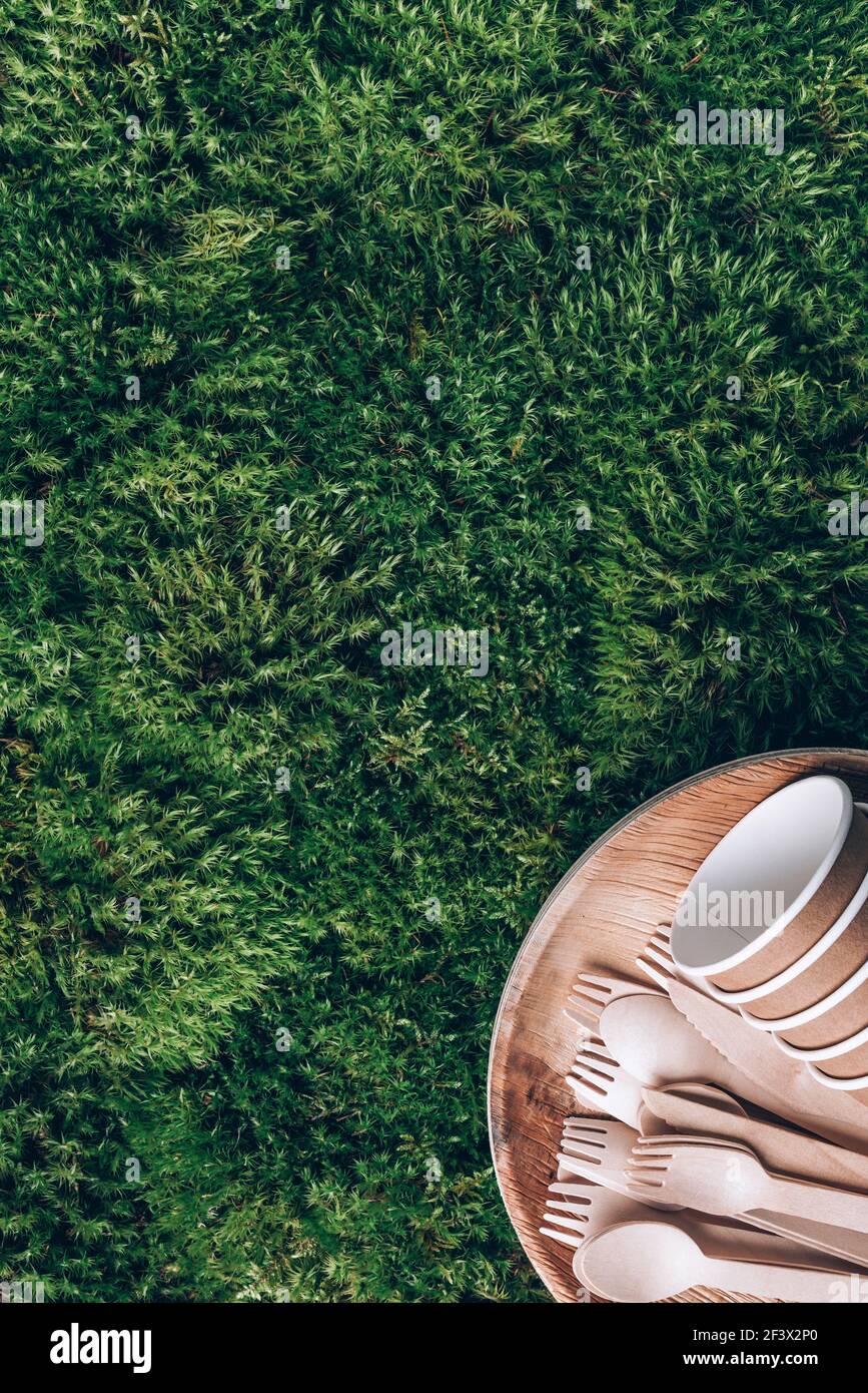 Moss Cups High Resolution Stock Photography and Images - Alamy