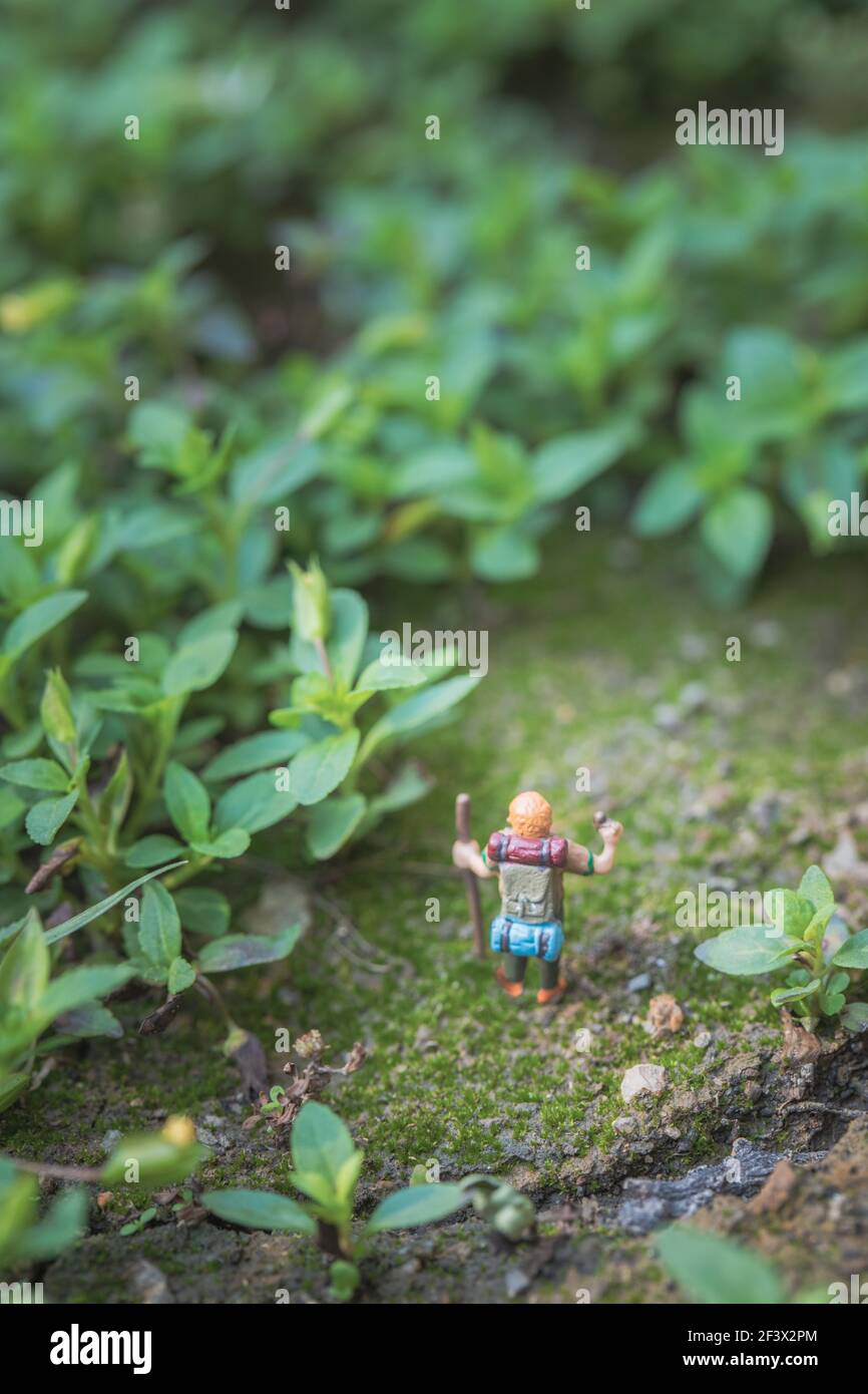 Model forest miniature hi-res stock photography and images - Alamy