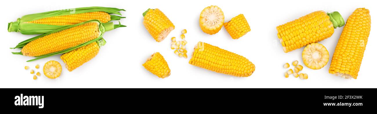 ear of corn isolated on a white background. Clipping path and full ...