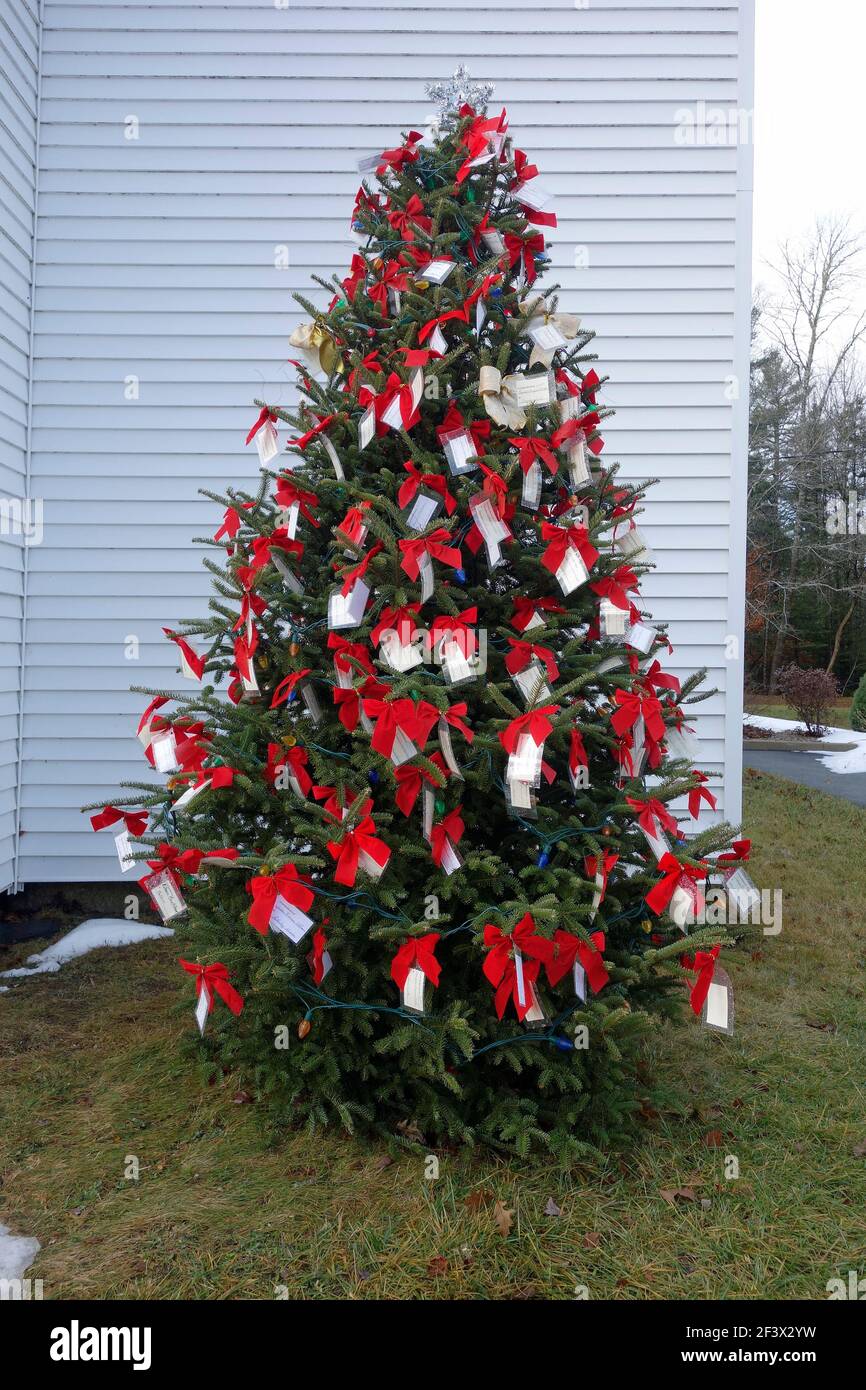 In loving memory christmas tree hi-res stock photography and images - Alamy