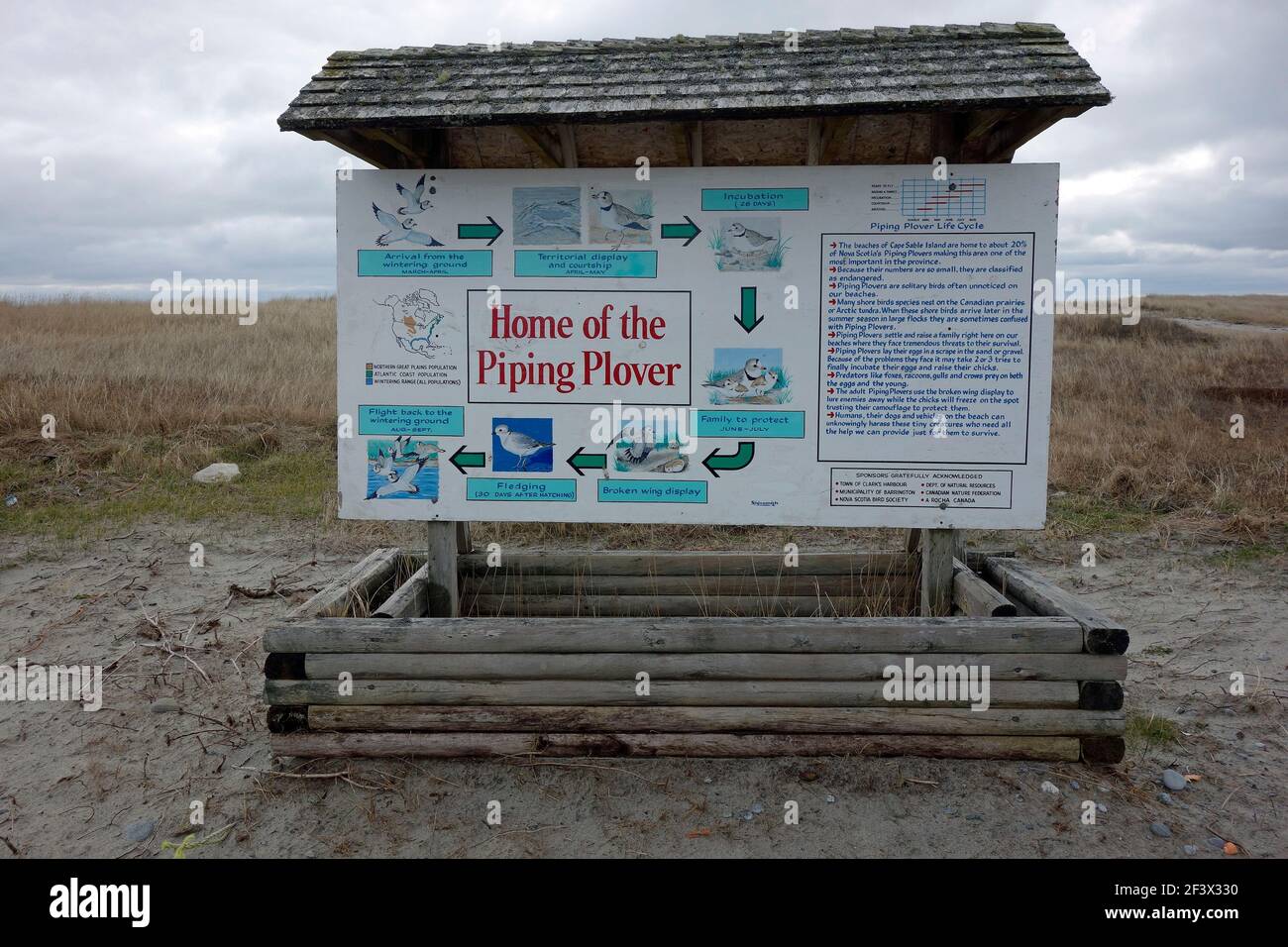 Piping Plover exhibit sign on Cape Sable Island, Nova Scotia, Canada ...