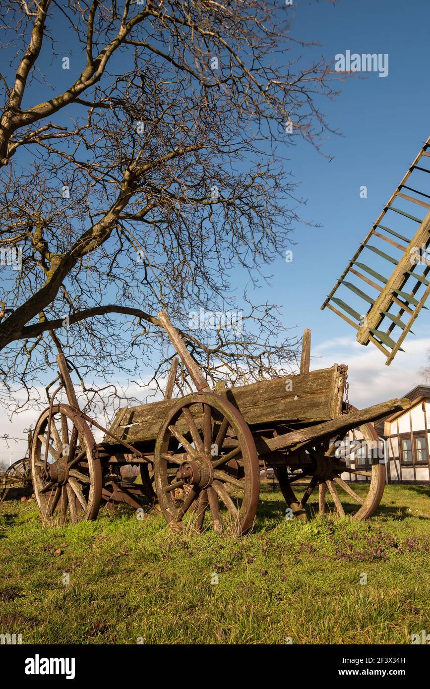 13 March 2021, Saxony-Anhalt, Wolmirstedt: A historic hay cart stands ...