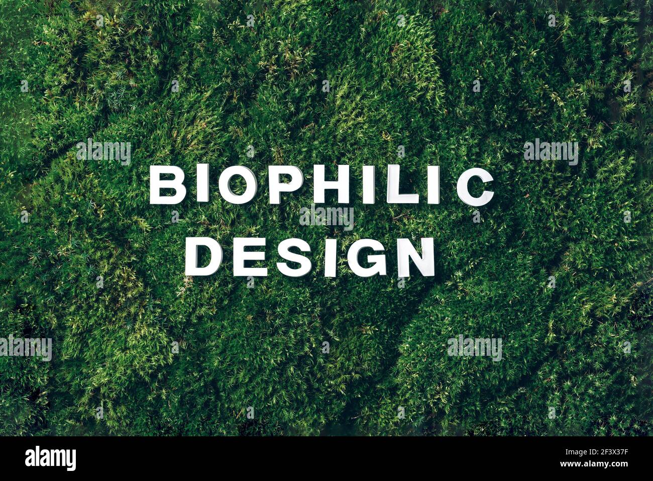 Biophilic design - white letters on green moss, grass background. Top ...
