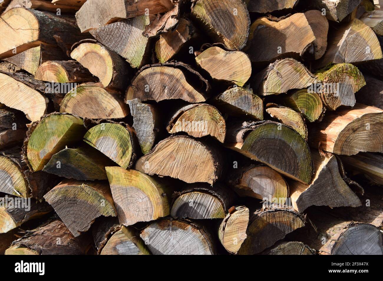 Log Pile landscape Stock Photo - Alamy