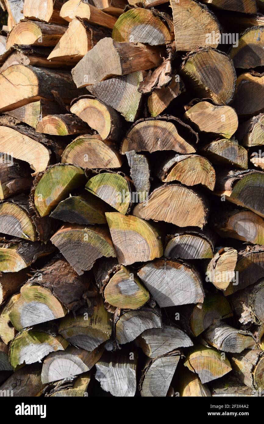 Log Pile portrait Stock Photo - Alamy