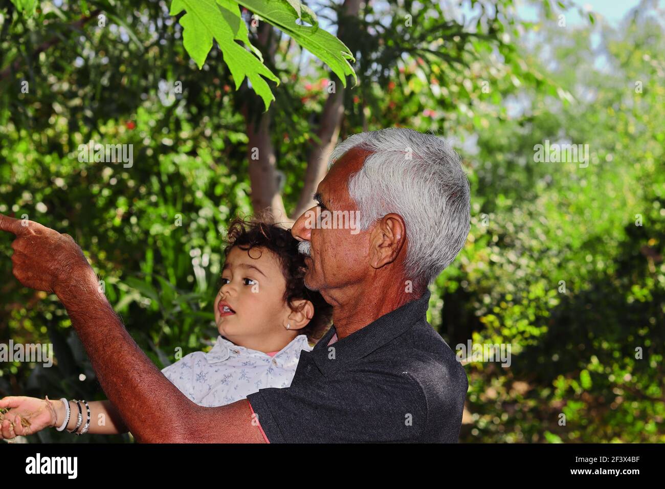 Standing in the garden with an Indian grandfather and young grandson ...