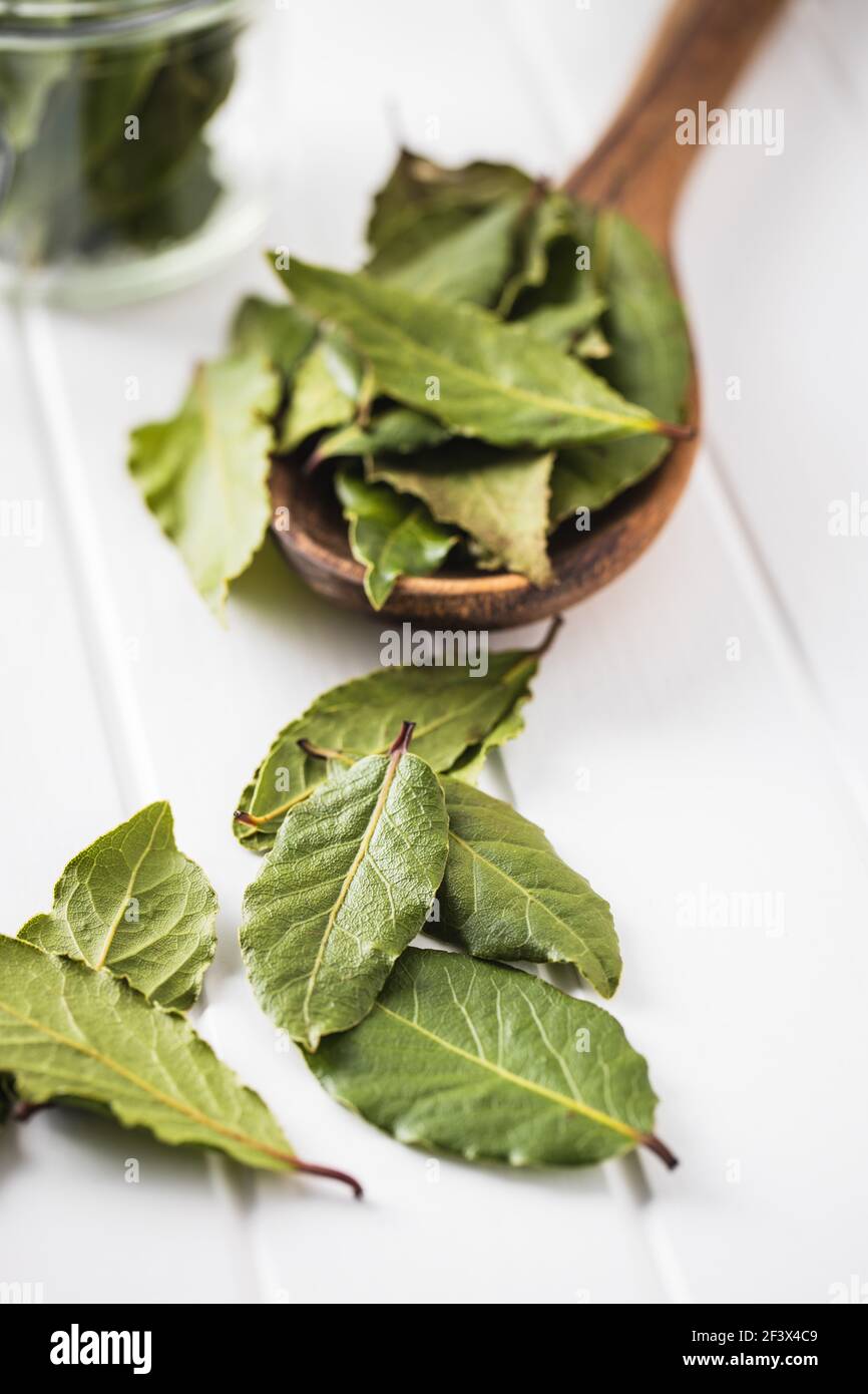 Green bay leaves hi-res stock photography and images - Alamy