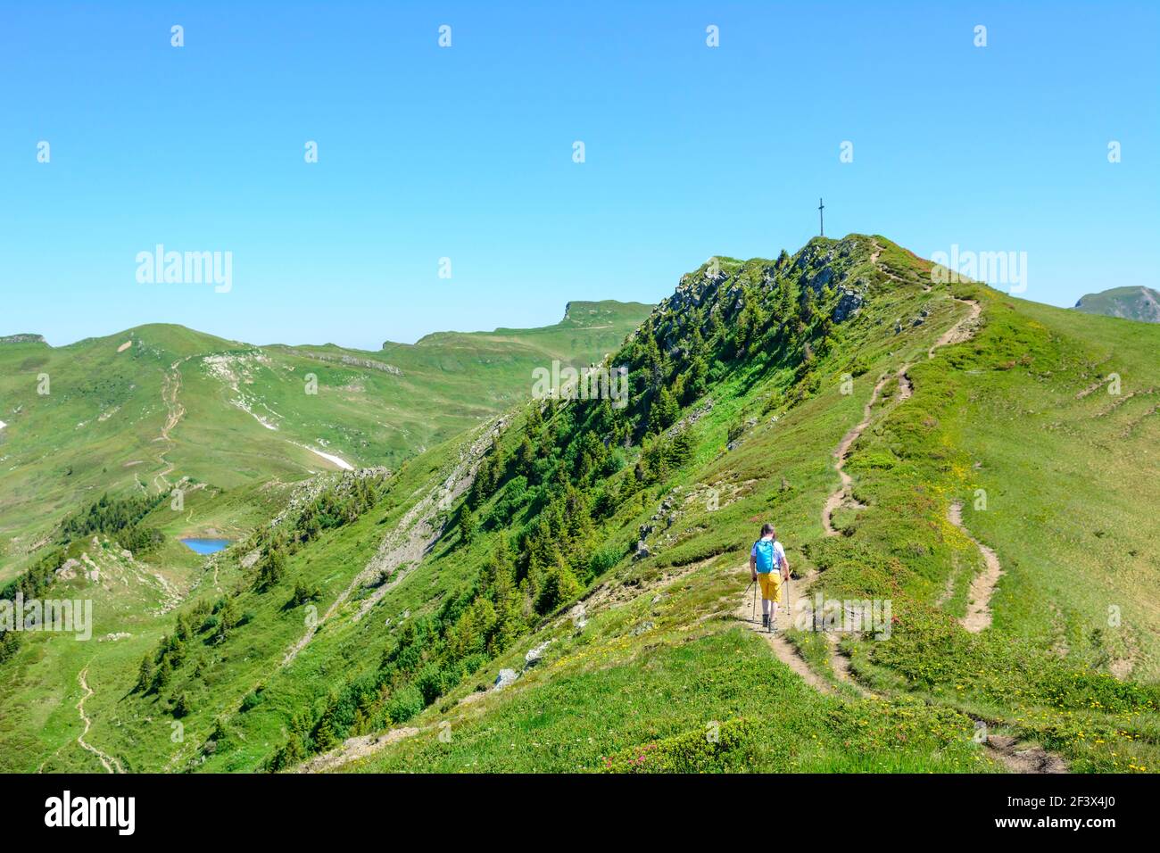 Man hiking in alpine region in austrian alps Stock Photo - Alamy