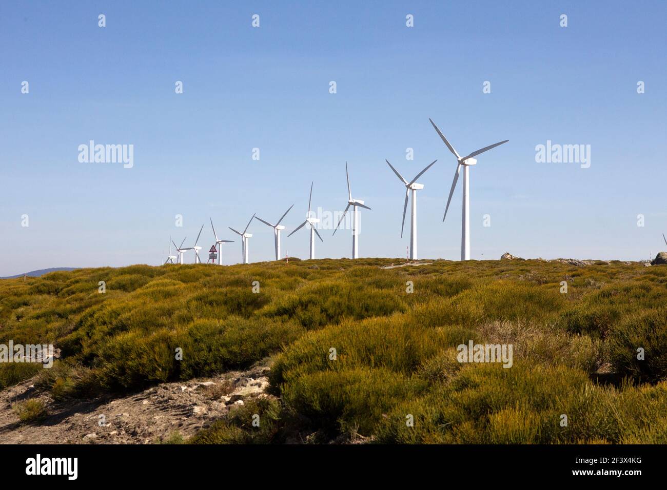 wind turbines producing electricity on a mountain divide in a strong ...