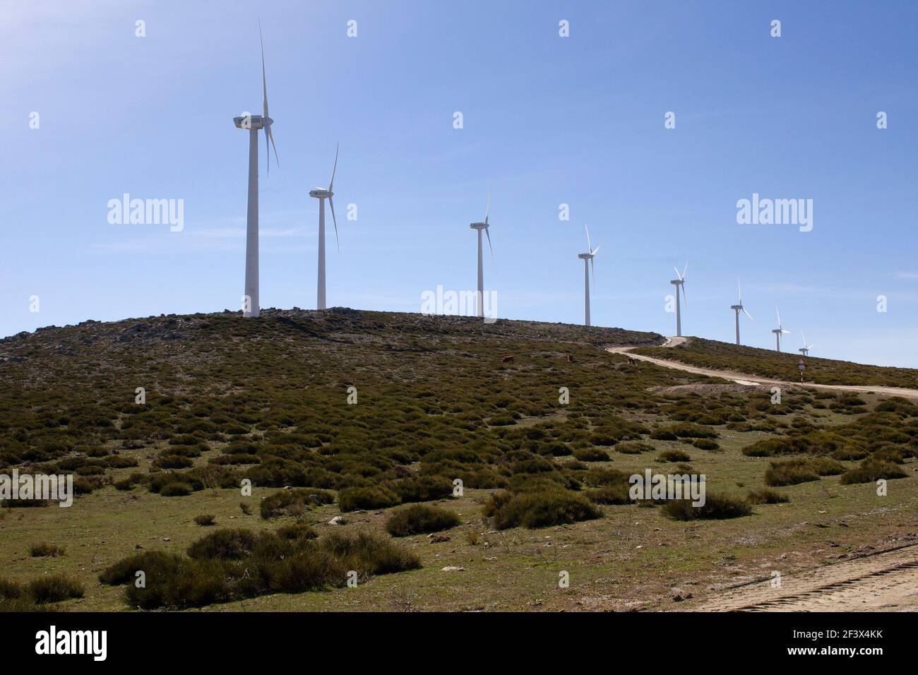 wind turbines producing electricity on a mountain divide in a strong ...