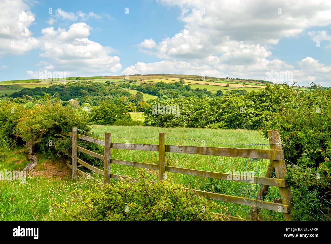 English heathland hi-res stock photography and images - Alamy
