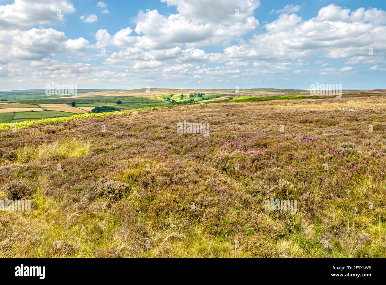 English moors hi-res stock photography and images - Alamy