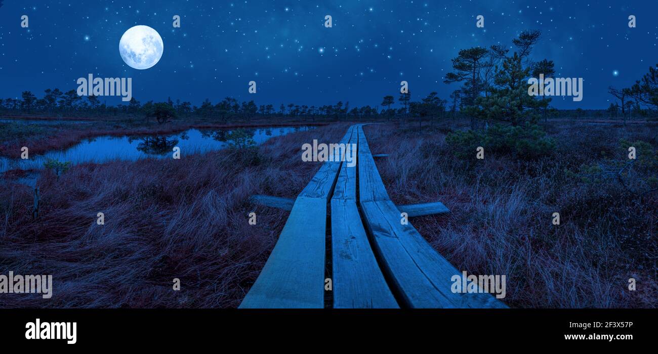 Bog at night hi-res stock photography and images - Alamy