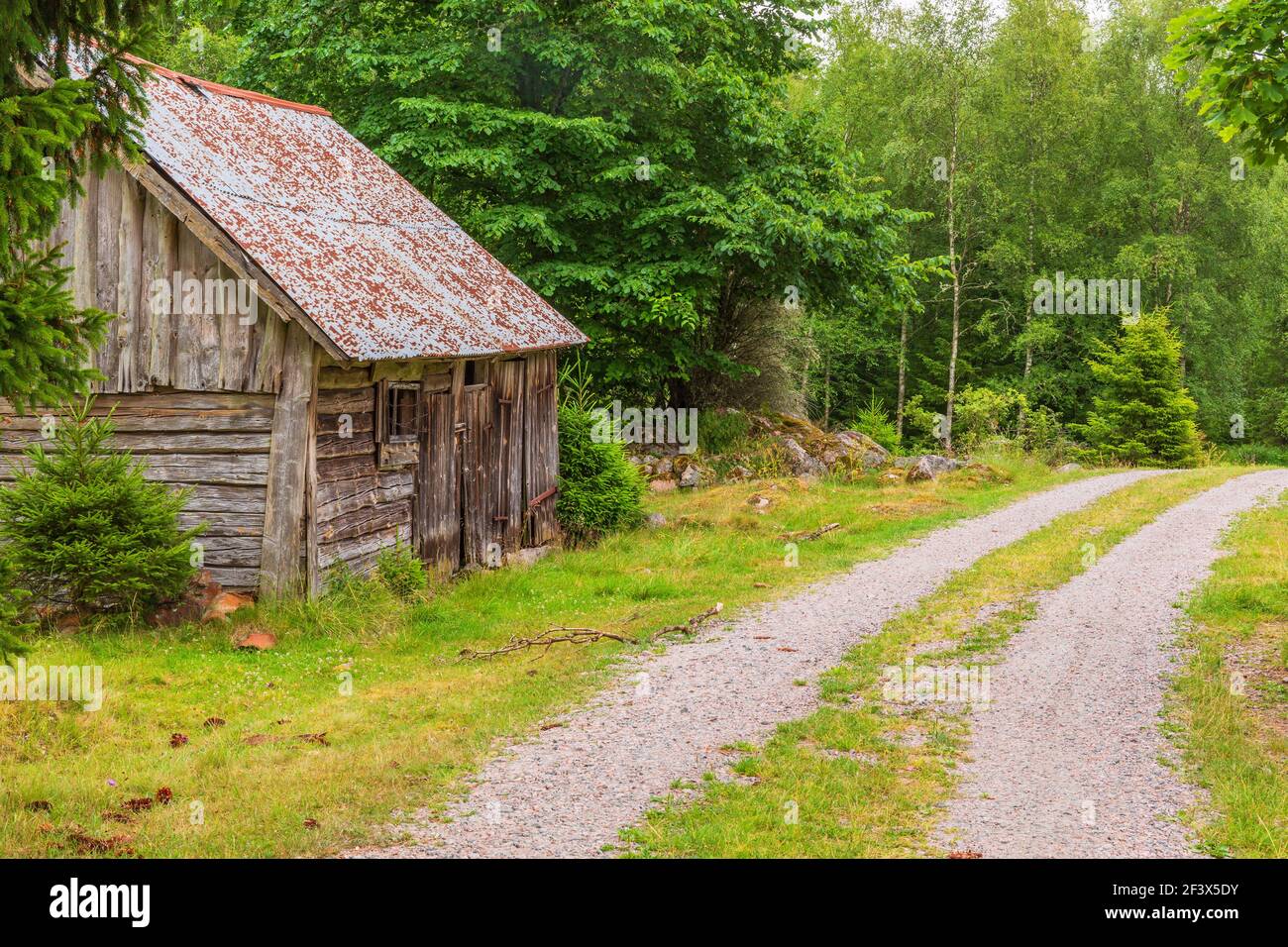 Old abandoned shack at a forest road Stock Photo - Alamy