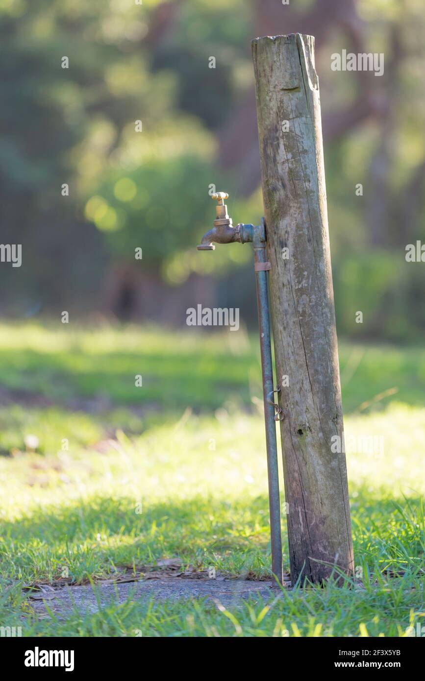 A shiny brass water tap or faucet mounted to a timber post provides a ...
