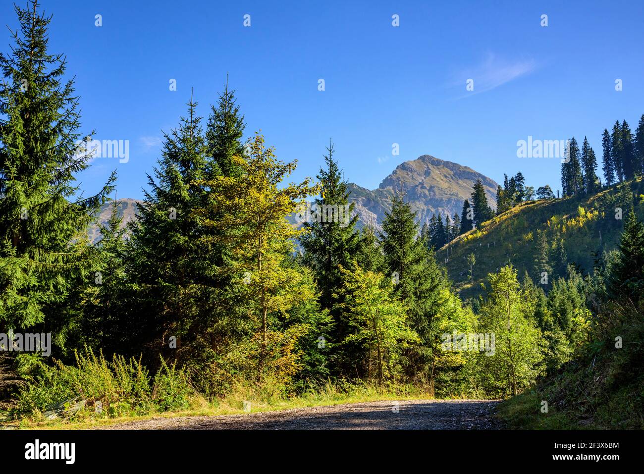 Typical alpine landscape in bavarian Allgäu Stock Photo - Alamy