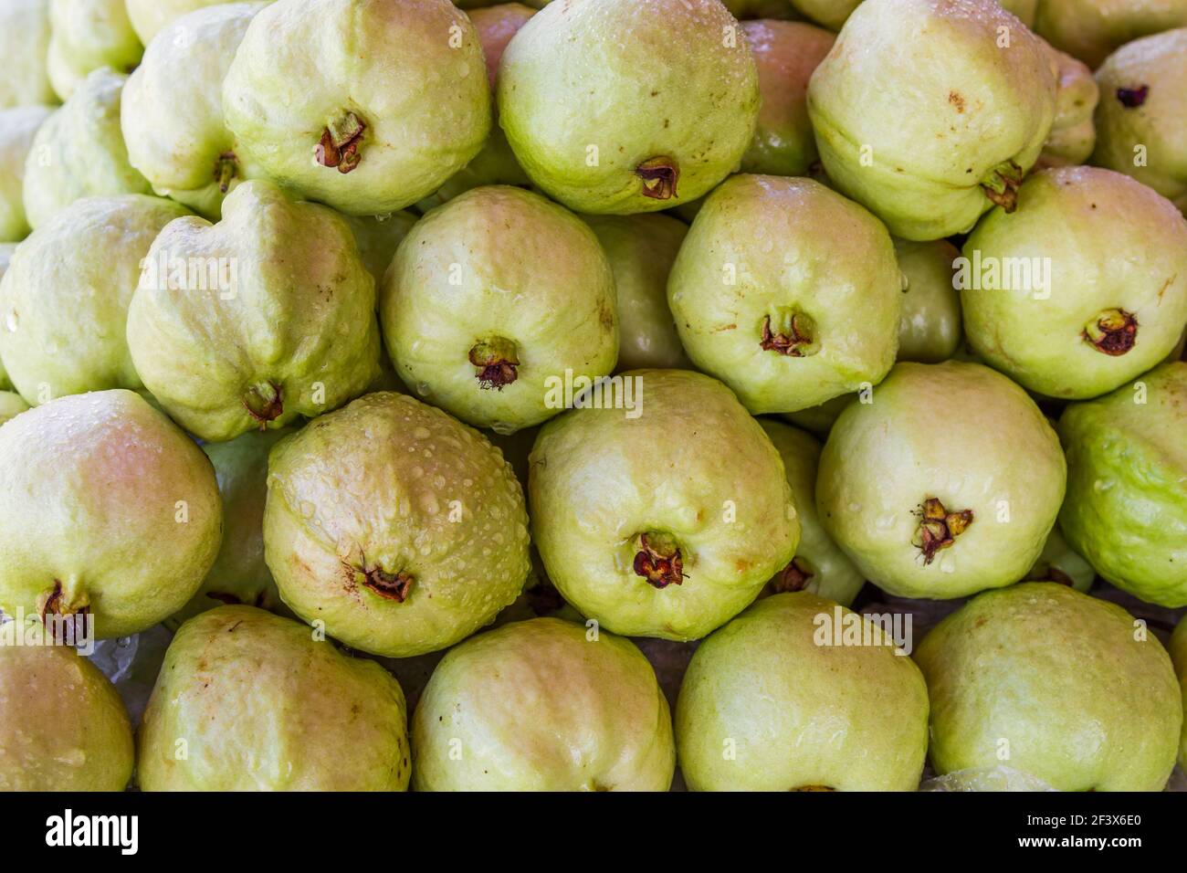 alot of guava fruit at the market Stock Photo - Alamy