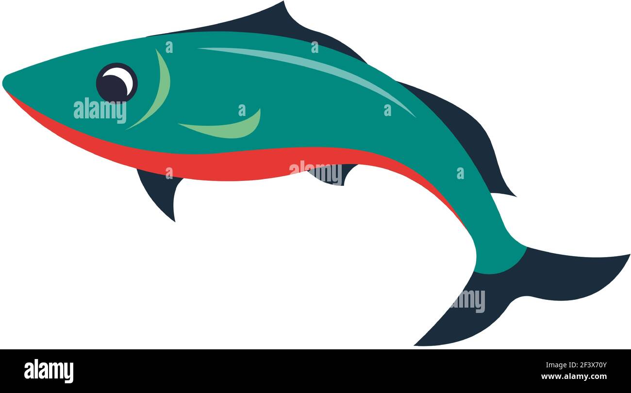 Vector fish swimming illustration isolated on white background Stock ...