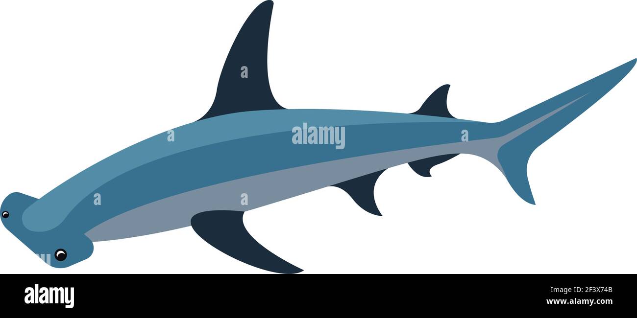 Hammerhead Vector