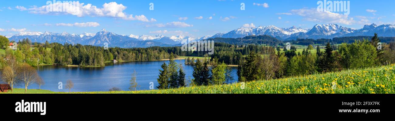 Beautiful nature at the alpine border in eastern Allgäu on a springtime ...