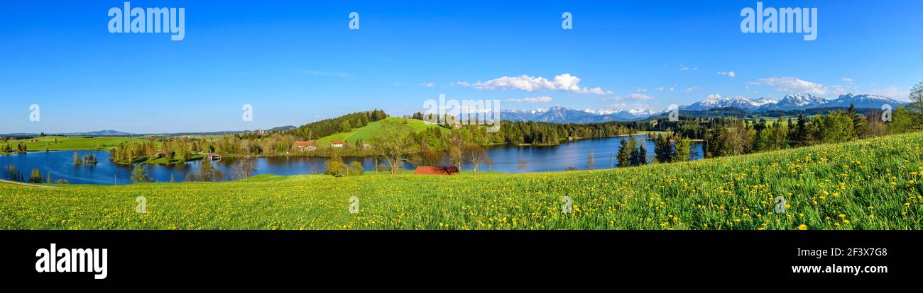 Beautiful nature at the alpine border in eastern Allgäu on a springtime ...