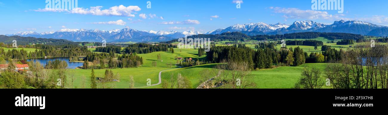 Beautiful nature at the alpine border in eastern Allgäu on a springtime ...