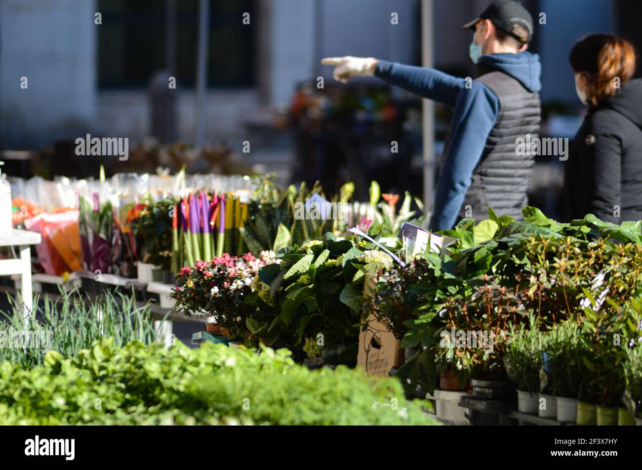 CREMONA, LOMBARDY, ITALY, ITALY - Mar 17, 2021: Cremona, Lombardy ...