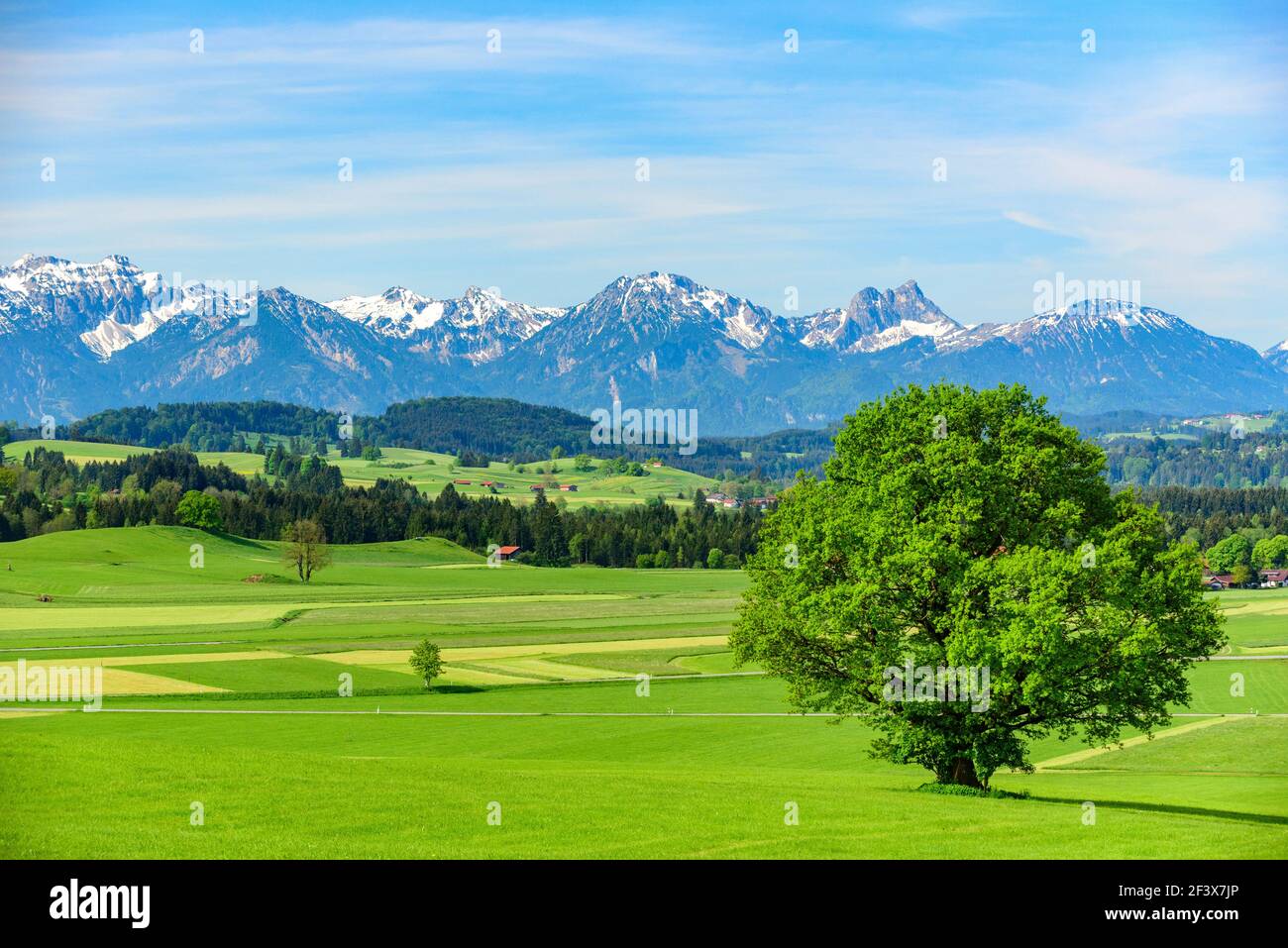Trauchgau hi-res stock photography and images - Alamy