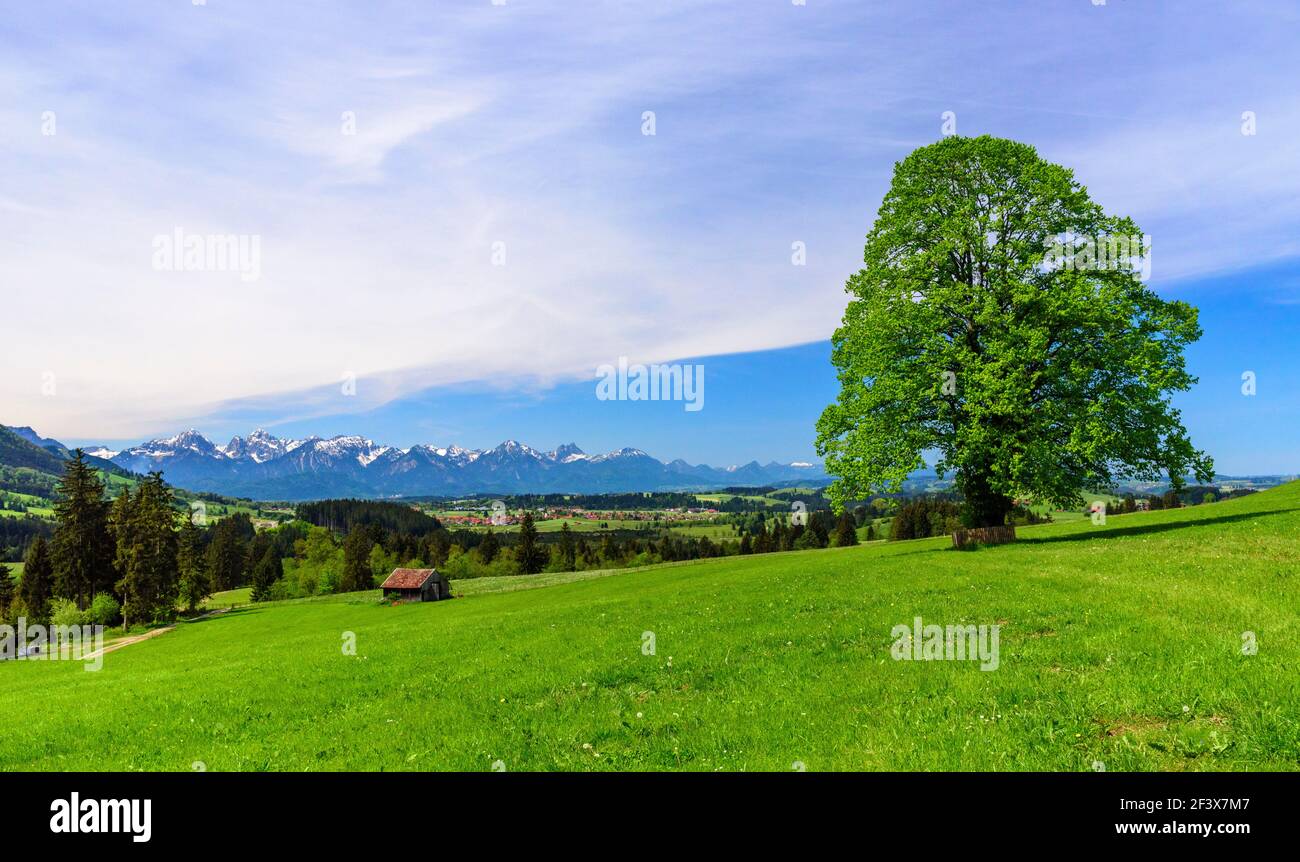 Trauchgau hi-res stock photography and images - Alamy
