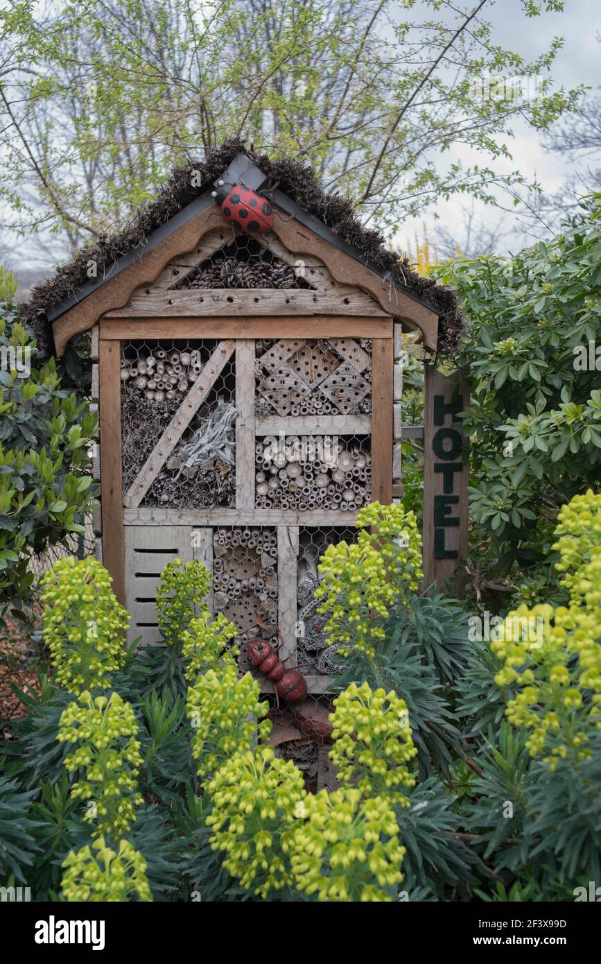 Hotel insectes hi-res stock photography and images - Alamy